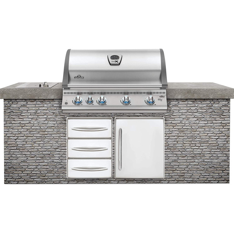 Napoleon 21" Built-in Lex 605 Stainless Steel 4 Burner Natural Gas ...