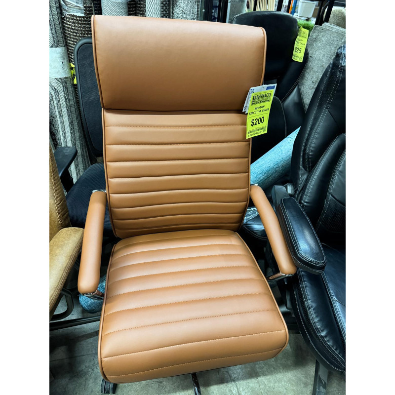 Newton Executive Office Chair